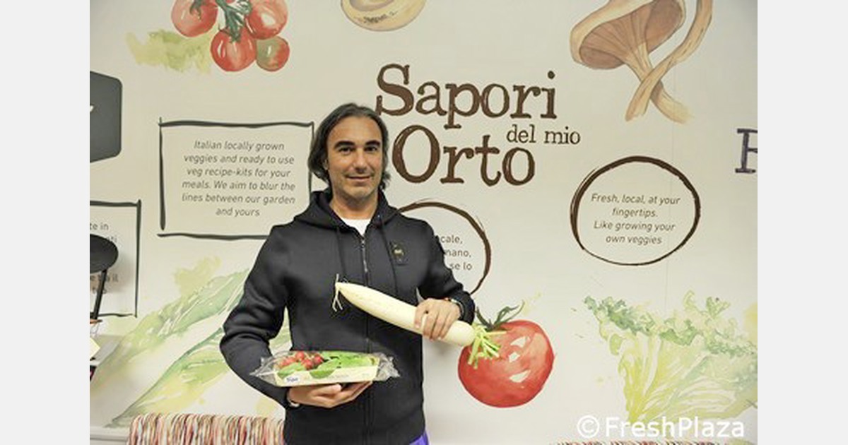 E' iniziata la stagione delle radici: ecco le novità