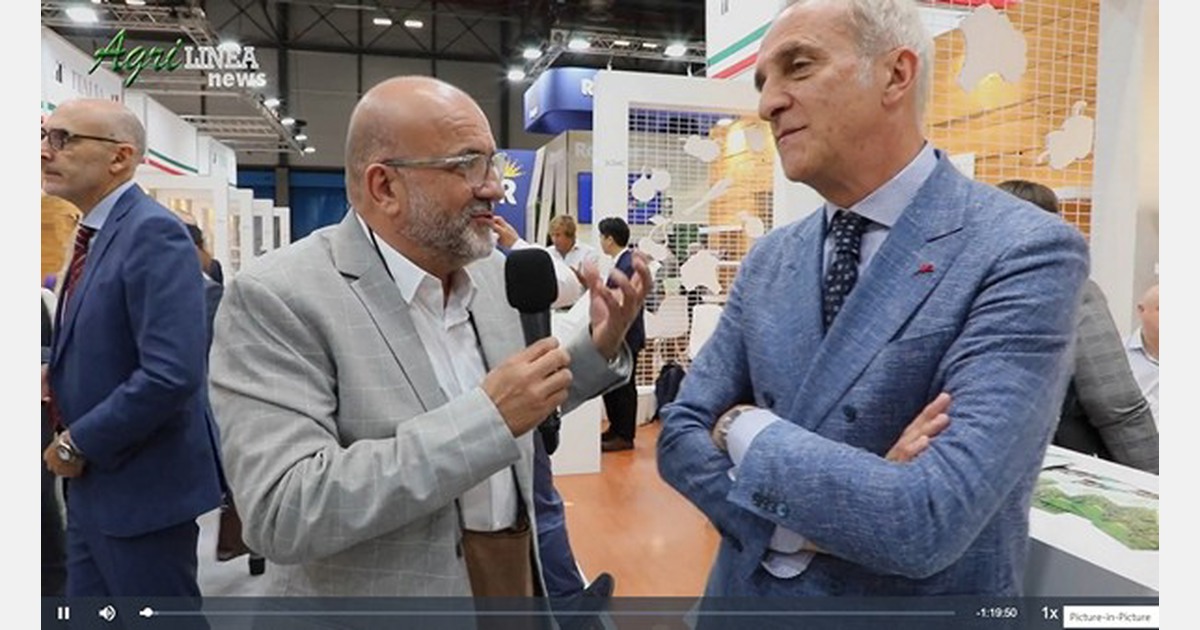 Una trasmissione tv con i protagonisti della fiera a Madrid