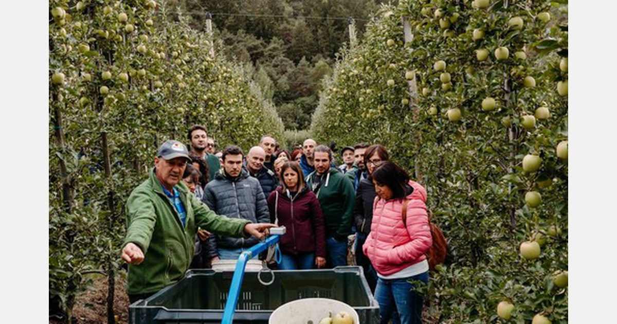 Responsabili acquisti e reparto ortofrutta di 5 catene in visita ai ...