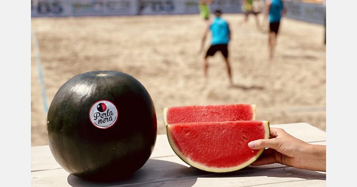 L'anguria midi Perla Nera guarda già al 2023