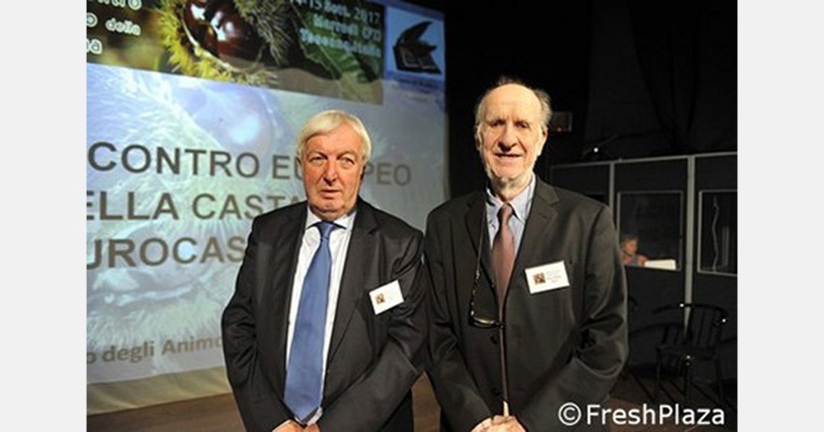 Castagne e marroni: ottima annata con l'incognita prezzi