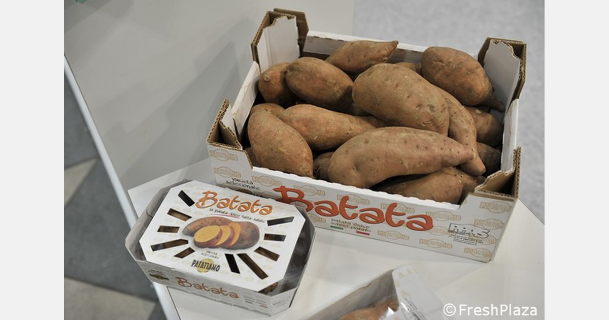 Qualità e quantità maggiori, l'obiettivo della nuova stagione delle ...