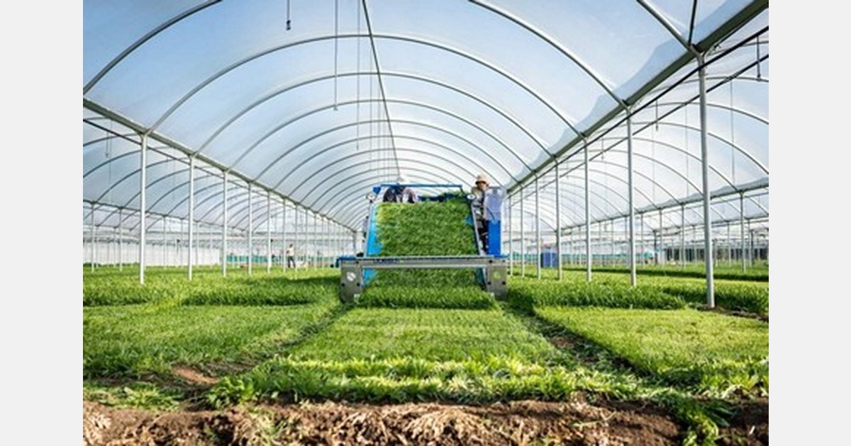 Orto-raccoglitrici italiane in fiera, in partnership con i Paesi Bassi