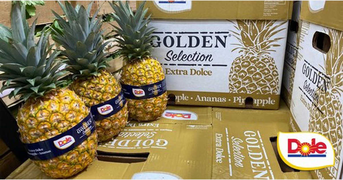 Dole Italia amplia l'offerta con l'Ananas Verticale