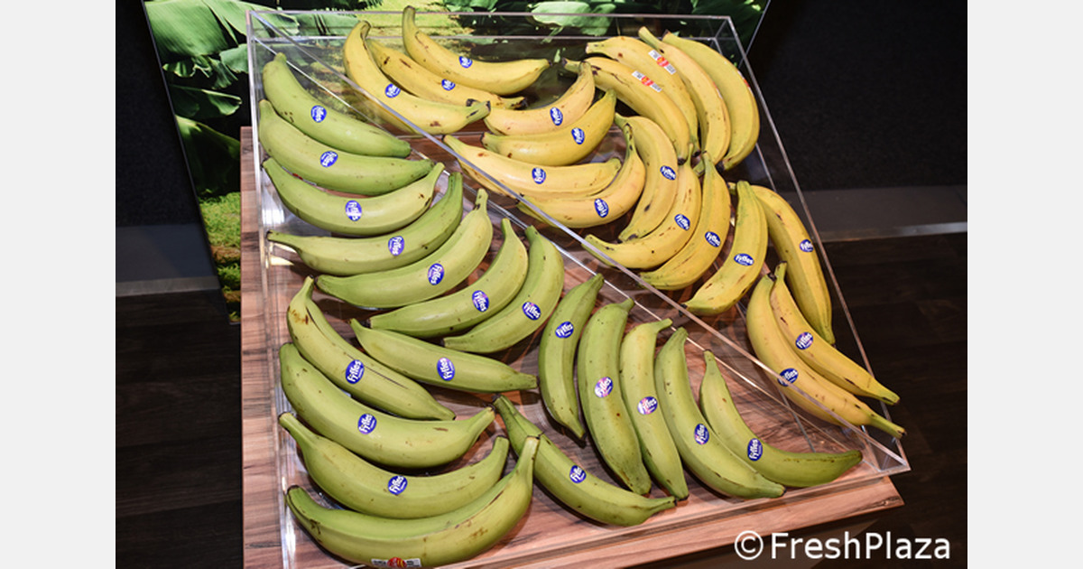 Le banane vengono acquistate dall'80,9% delle famiglie italiane