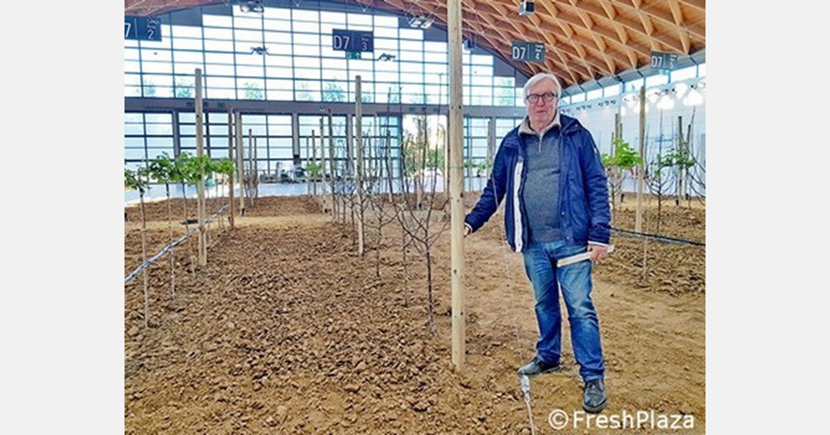 Il castagno protagonista, per la prima volta, in fiera