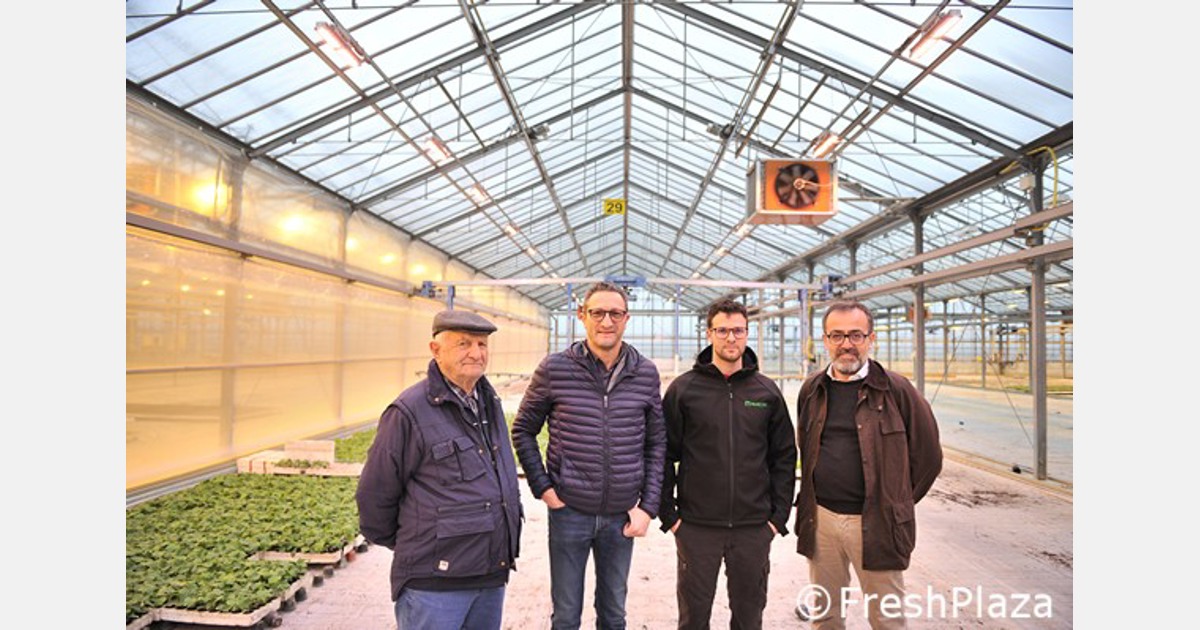 Un vivaio in crescita anche all'estero nel solco dell'innovazione