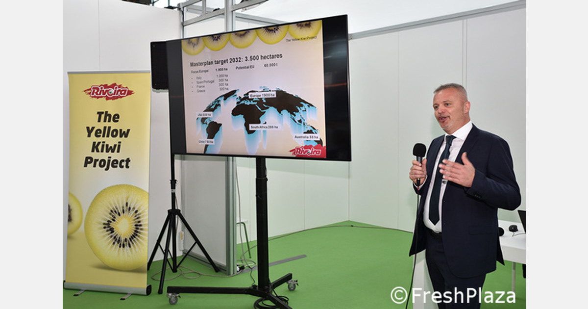 Kiwi giallo: gli sviluppi del progetto Rivoira illustrati a Macfrut