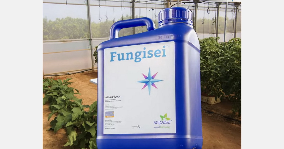 Fungisei, il fungicida microbiologico che combatte malattie ad alta ...