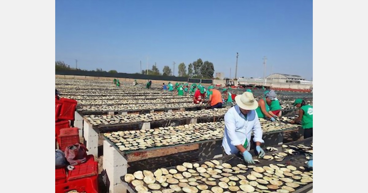 Prodotti pronti all'uso e legati al territorio in una gamma di ortaggi ...