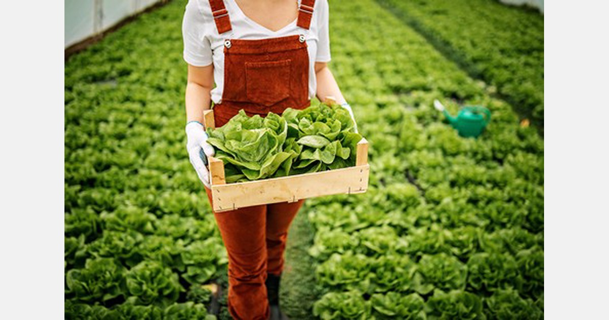 Come conseguire la certificazione Linking Environment And Farming Marque (LEAF Marque)