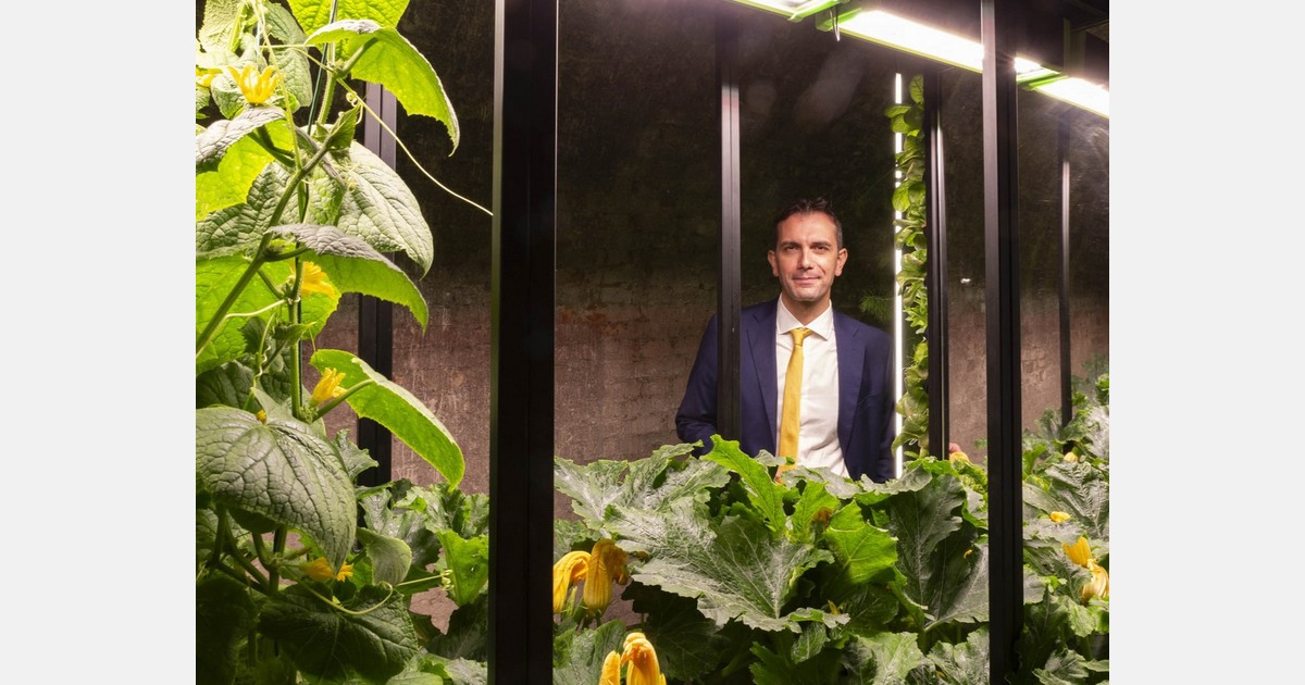 Tunnel Farm: uno dei pochi casi al mondo di "indoor vertical farming ...