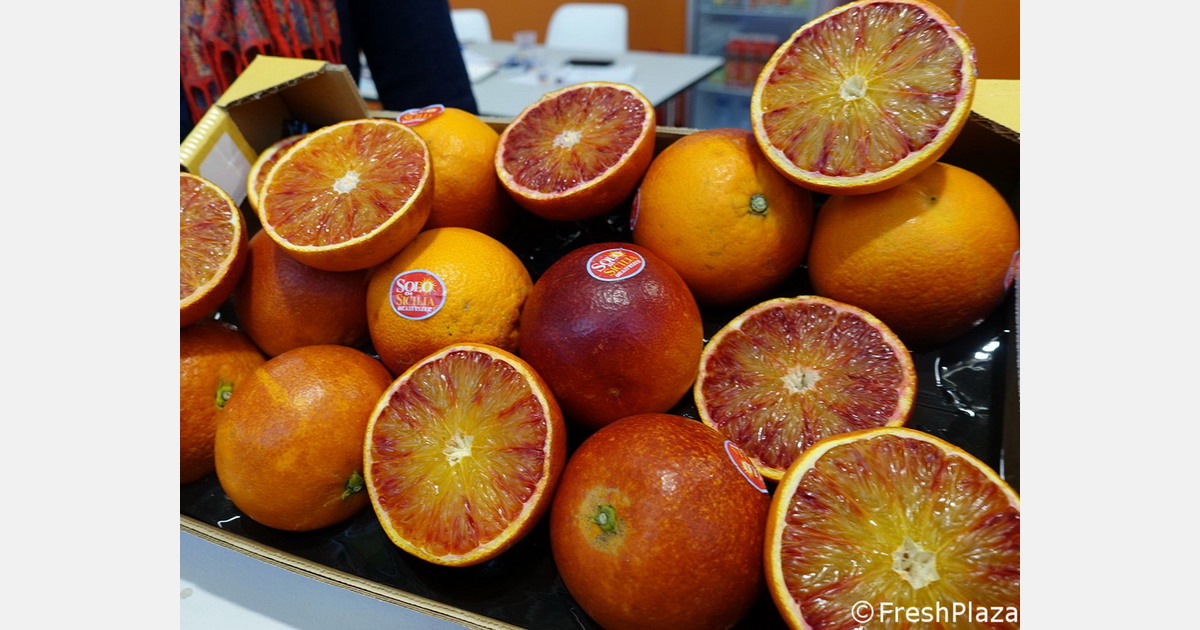 Le arance vengono acquistate dal 70% delle famiglie italiane