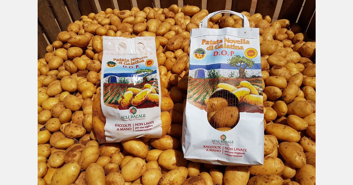 Tavola rotonda "DOP Patata Novella di Galatina, un'eccellenza salentina ...