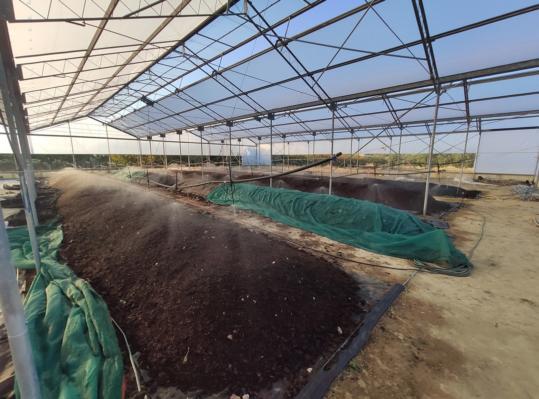 Nasce una start-up specializzata nella produzione di humus di lombrico