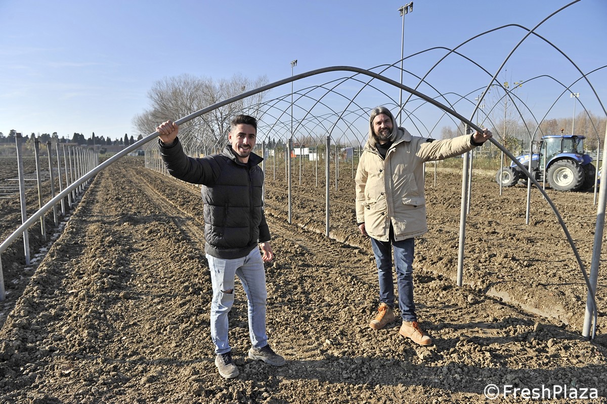 Venti ettari di serre per produrre verdure e meloni