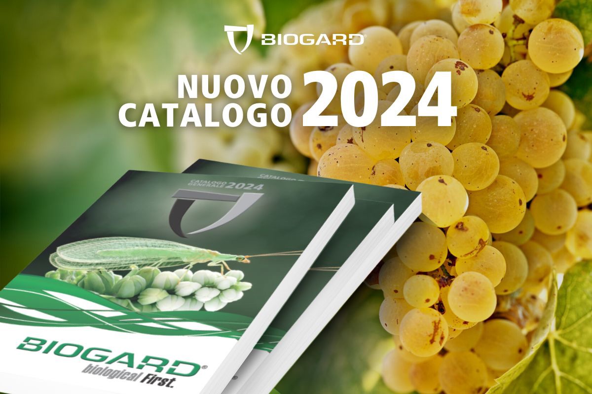 Gli insetti utili nel nuovo catalogo