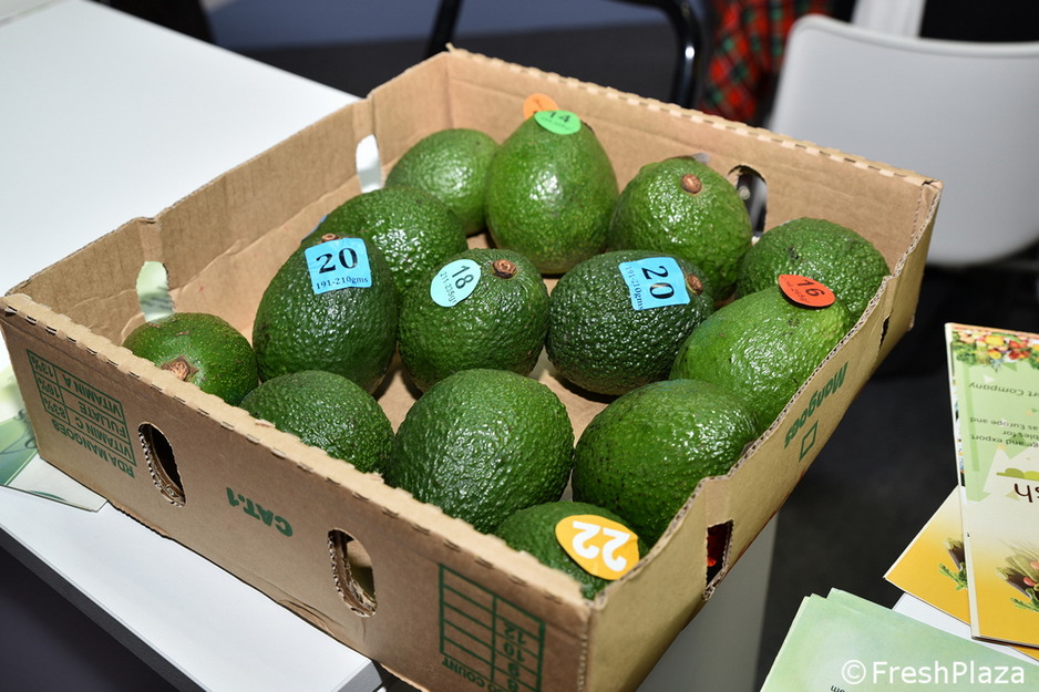 L'avocado viene acquistato da quasi il 29% delle famiglie italiane