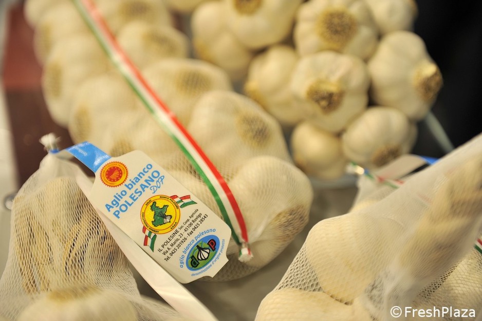 Torna a splendere il sole sui campi dove si coltiva l'Aglio bianco ...