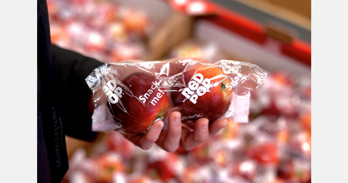 RedPop, la piccola ribelle che cambia le regole