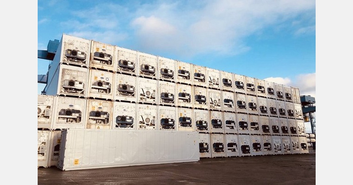 "Sempre più clienti nell'export di cipolle"