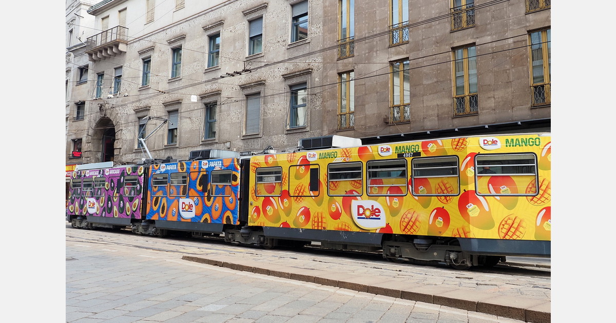Avocado, mango e papaya tingono le strade italiane con la loro vivacità
