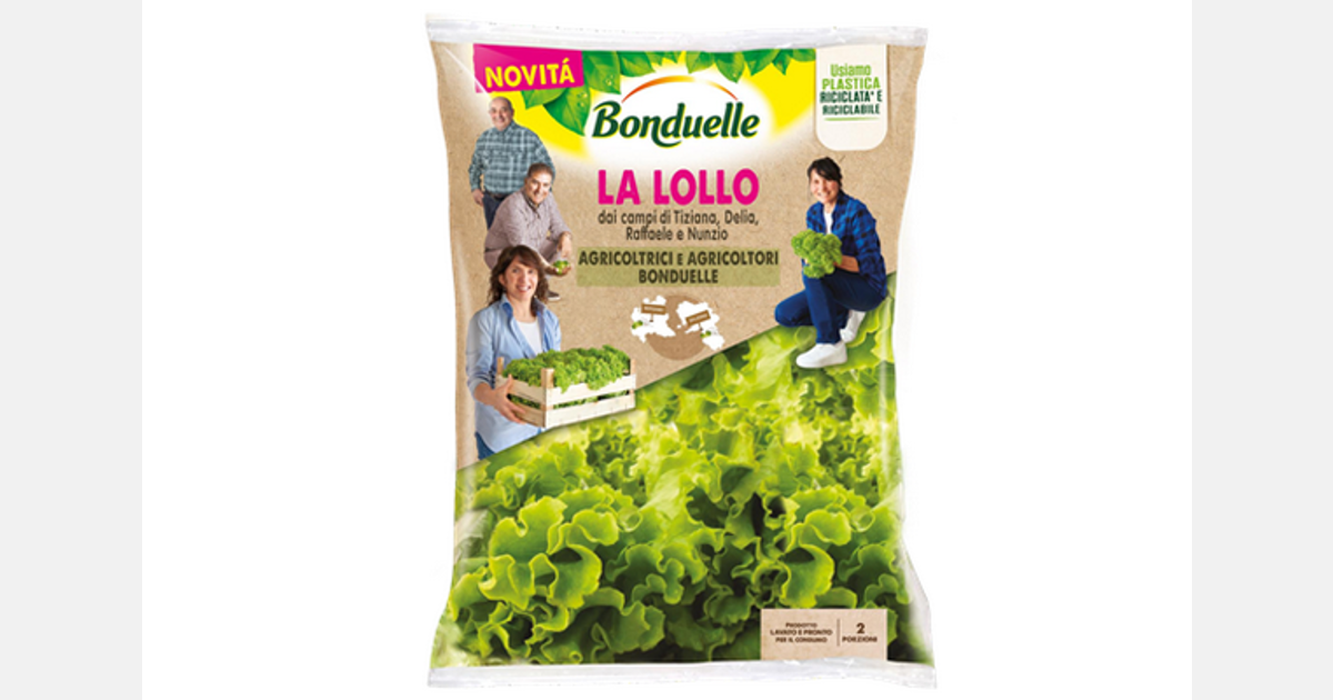 IV gamma: un'insalata 100% lollo verde