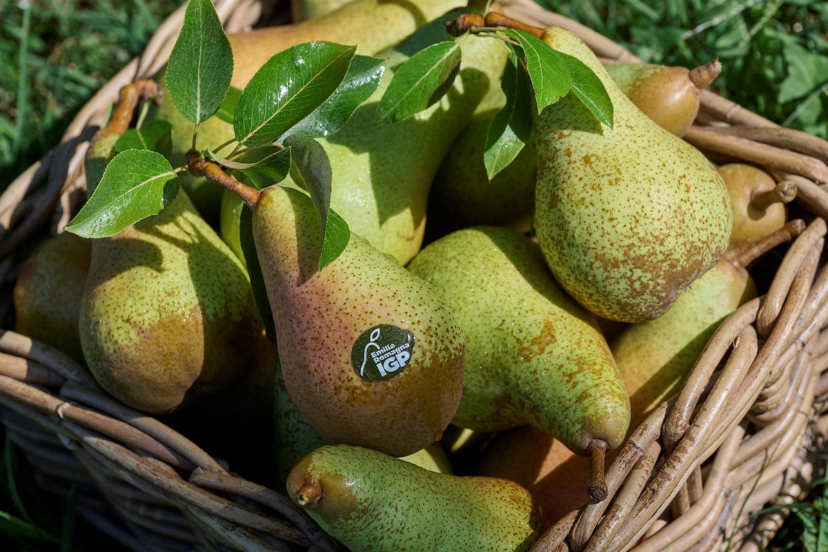 Nuovo bando regionale da 600mila euro per promuovere la Pera dell ...