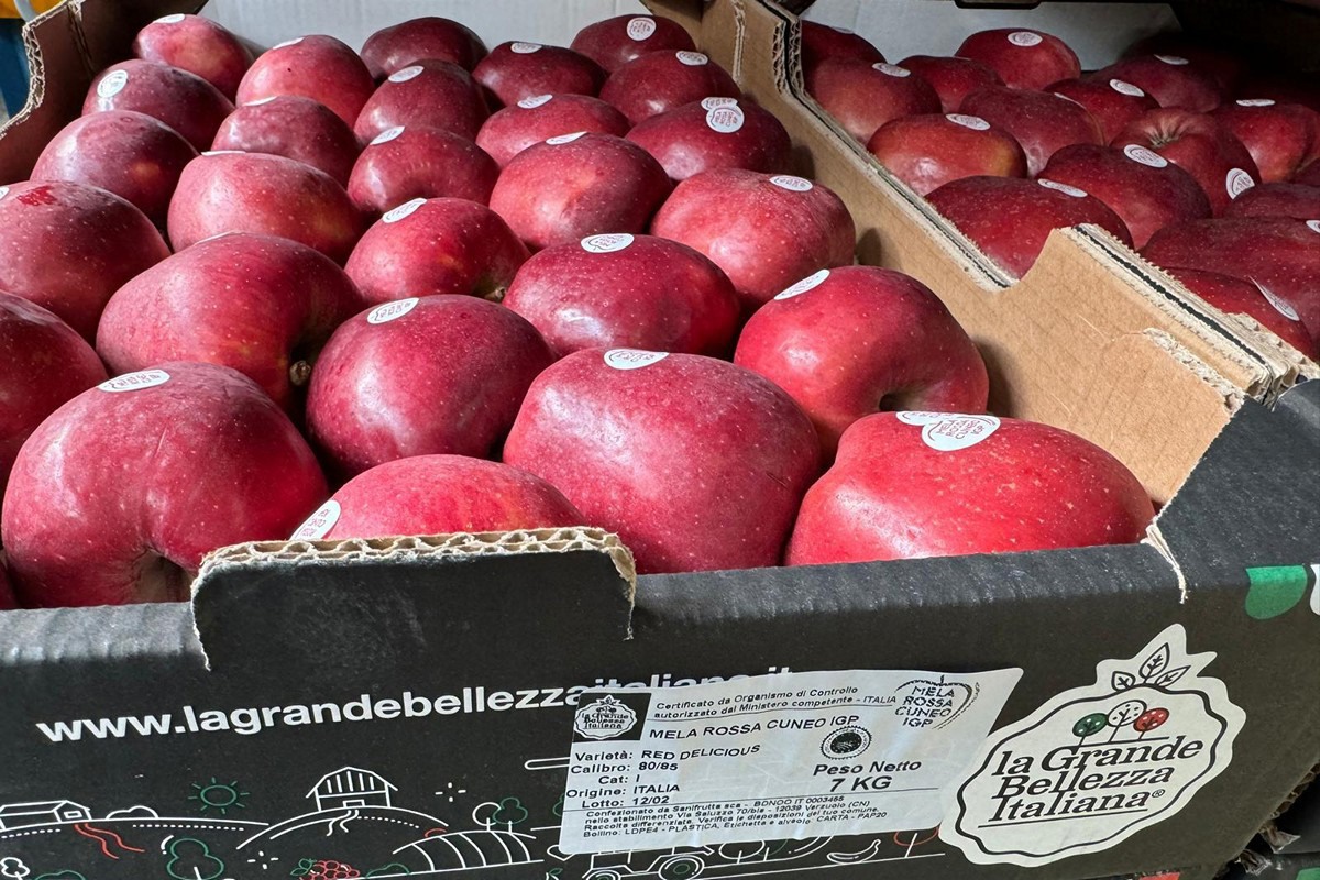 Mela Rossa di Cuneo Igp, tutto pronto per la commercializzazione