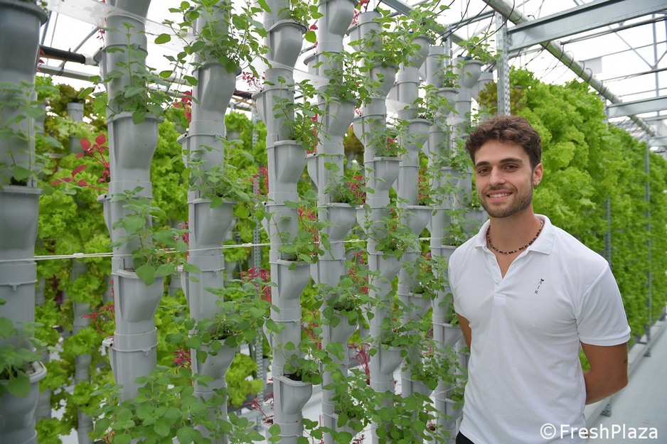 Alle porte di Forlì una coltivazione aeroponica verticale