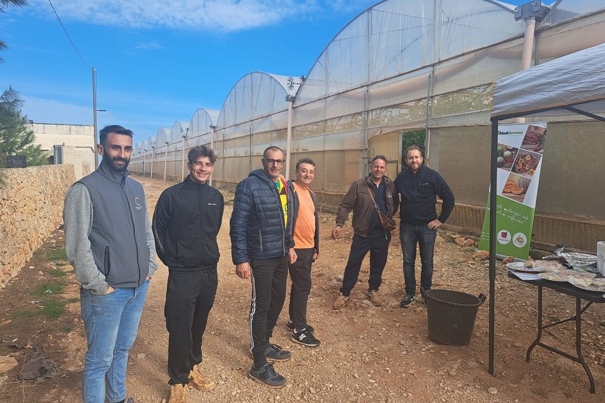 Lo sviluppo di nuove varietà di pomodoro incontra il favore dei ...