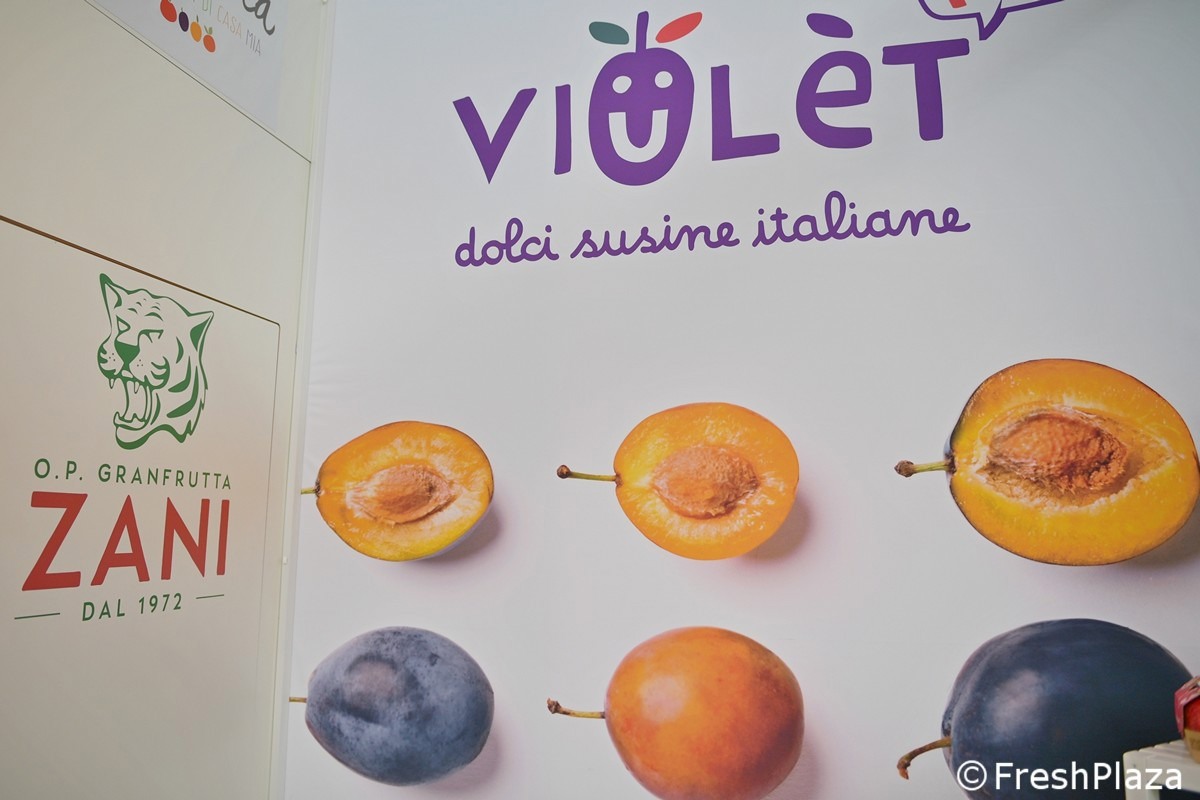 Viulèt, la nuova susina che mette in risalto il gusto dolce