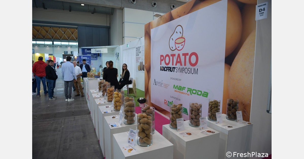 Patata, ecco la varietà con tre mesi di dormienza