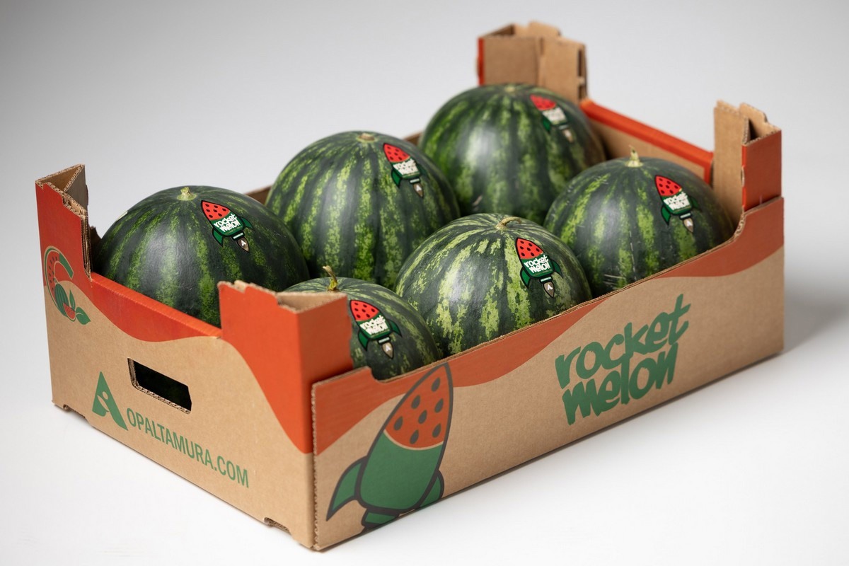Rocket Melon, il nuovo brand dedicato alle angurie
