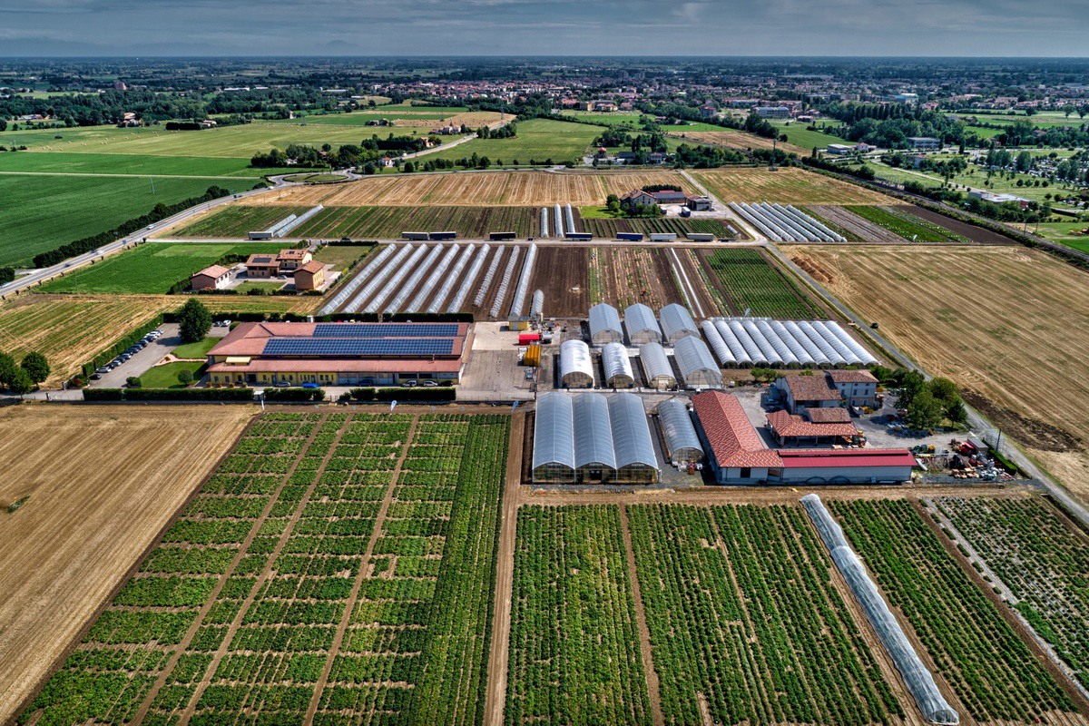 Panora, la nuova azienda sementiera che integra ISI Sementi, Top Seeds ...