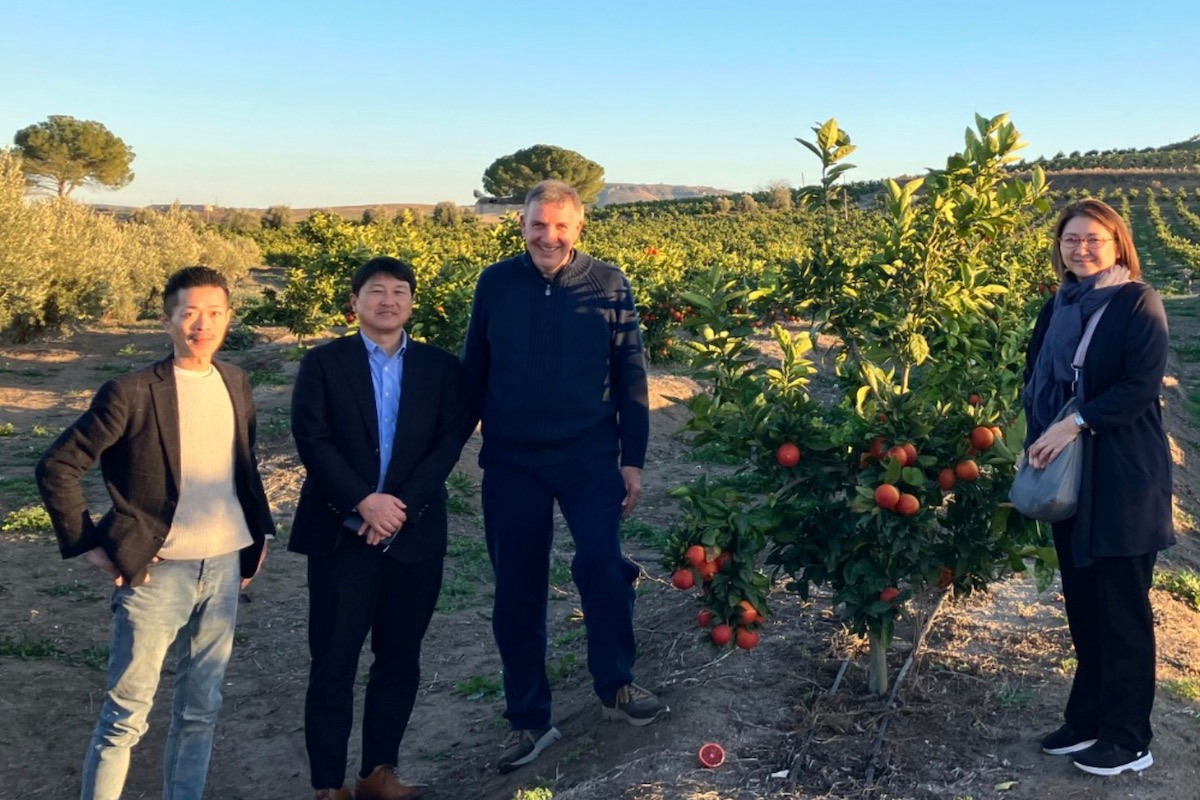 Cresce la domanda di succo di agrumi 100 per cento naturale