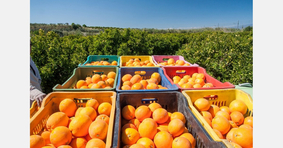 Fiera di Madrid, giornata di incontri con esportatori argentini
