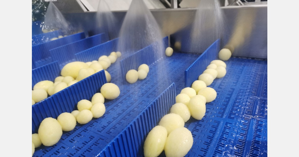 Crescita per l'Horeca con un'offerta di IV gamma sempre più segmentata