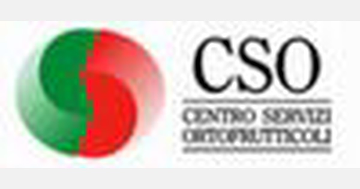 CSO: Dossier kiwi 2007