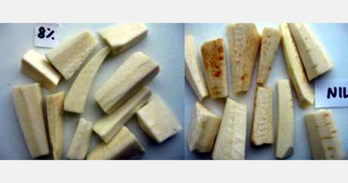 AgriCoat protegge la freschezza dei prodotti freschi gia' tagliati ...