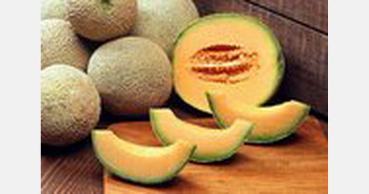 Scheda prodotto: il melone