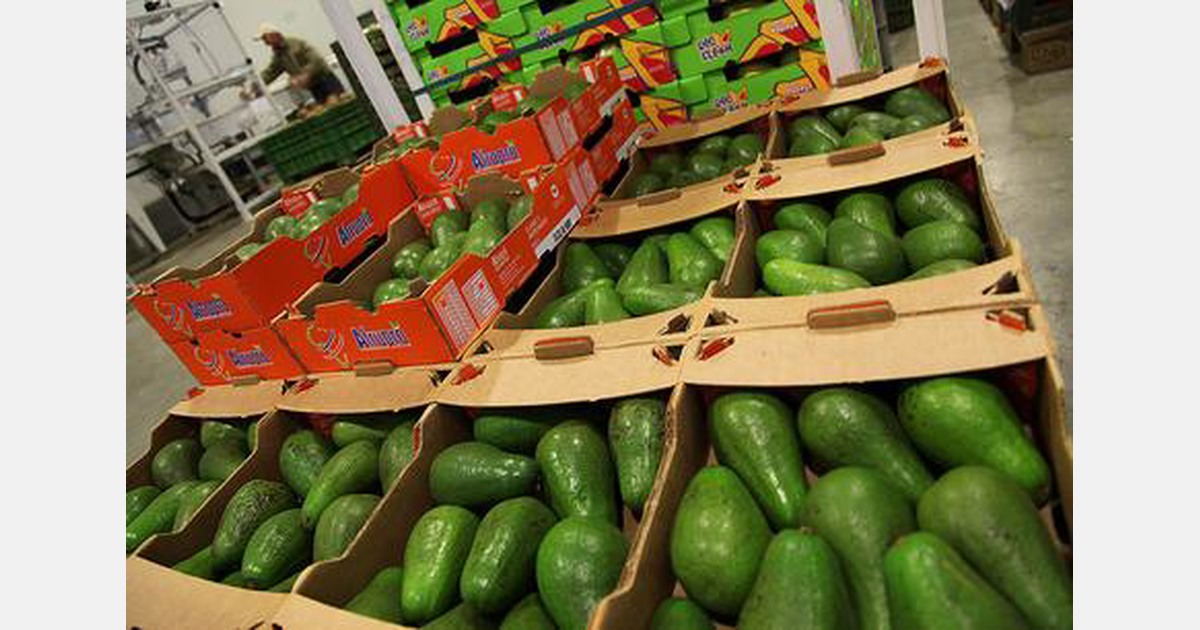 Mc Garlet: la frutta esotica e' un mondo a portata di mano