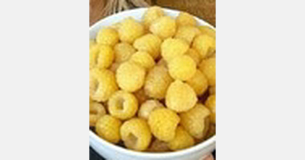 Australia: Driscoll Estrella, il giallo e' il nuovo colore del lampone!