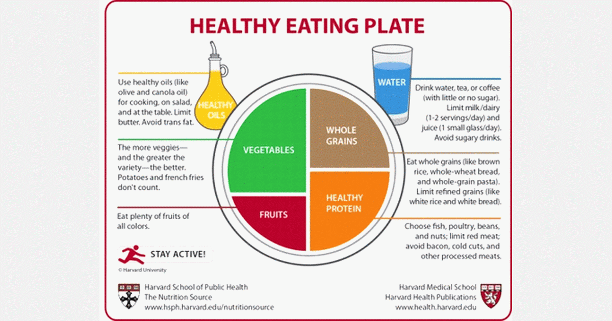 "USA: il "piatto" di Harvard contro il MyPlate"