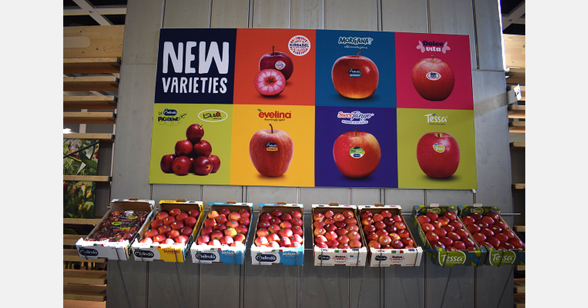 Le novità fotografate in fiera