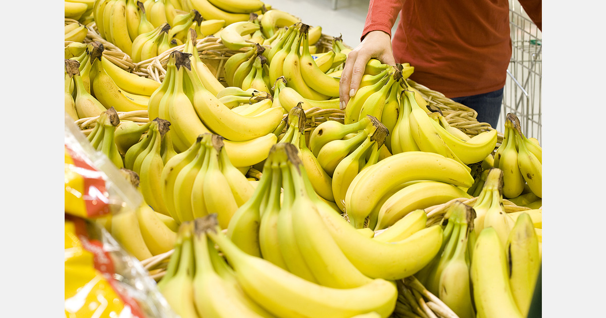 Le banane detengono il posto "Top-Of-The-Fruits" nella scelta dei ...
