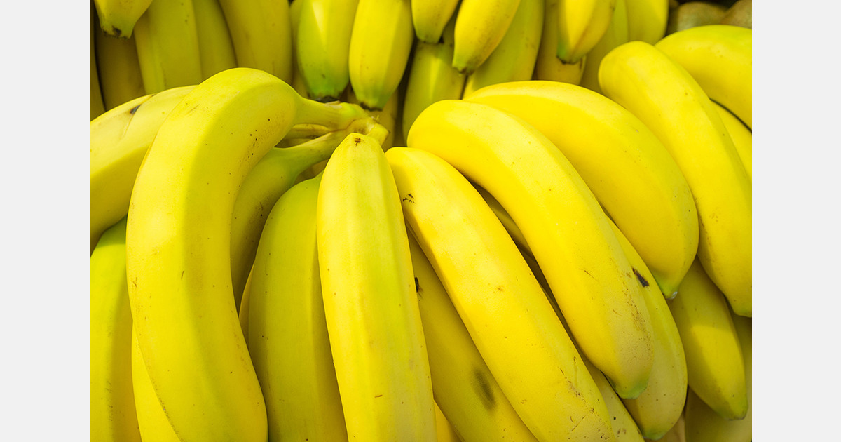 Per il 2025 è previsto un calo del 16 per cento nella produzione di ...