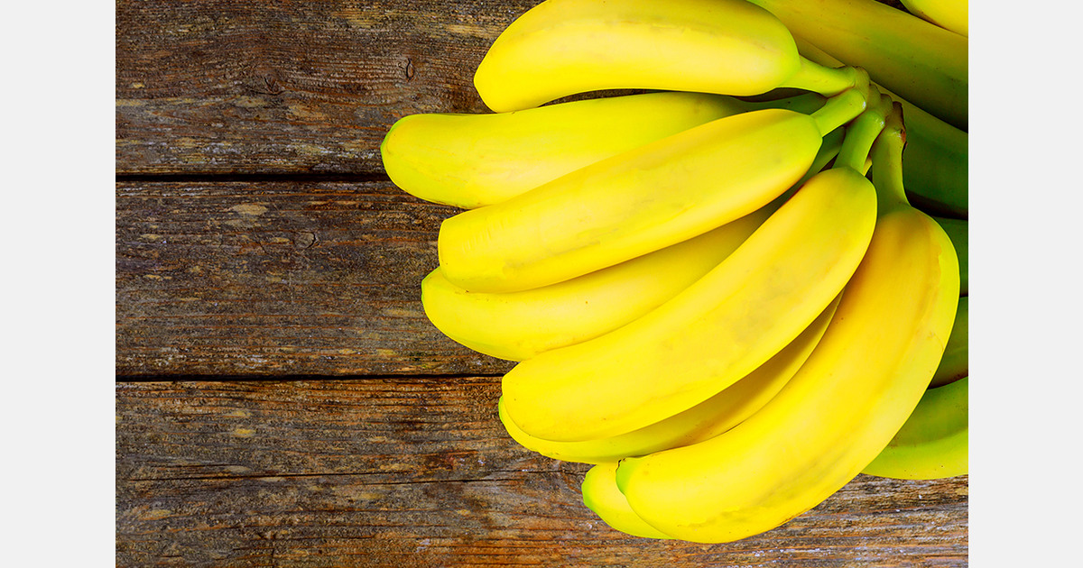 Le esportazioni di banane colombiane hanno registrato una notevole crescita