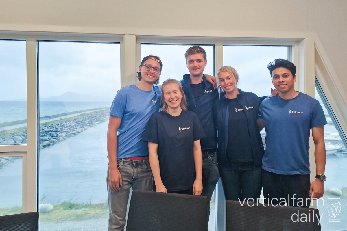 "Promuovere sistemi radicali più lunghi aumenta la capacità della pianta di assorbire nutrienti ...