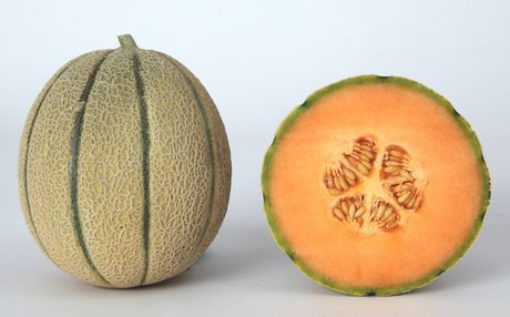 La gamma del melone retato italiano Nunhems: vigoria, uniformita', gusto